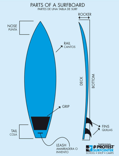 Parts of a surfboard, basic knowledge | Protest Surfcenter